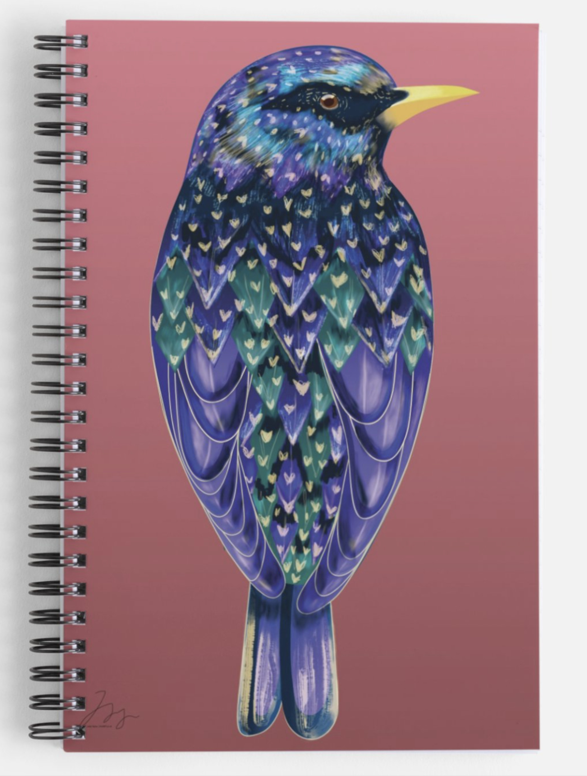 Starling Notebook – Art JMT